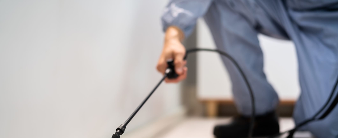 January 2024 Blogs | San Antonio Pest Control