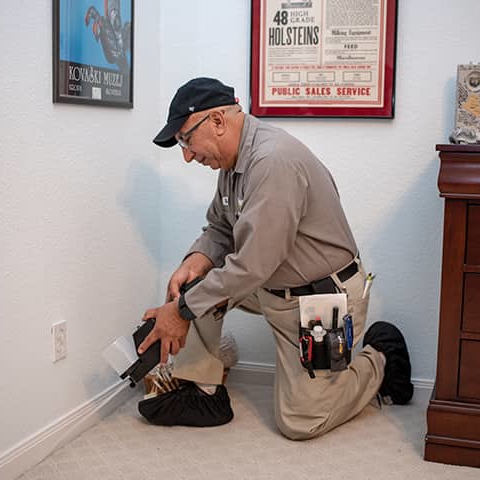 San Antonio Pest Control Maintenance Plans | Family Pest Control LLC