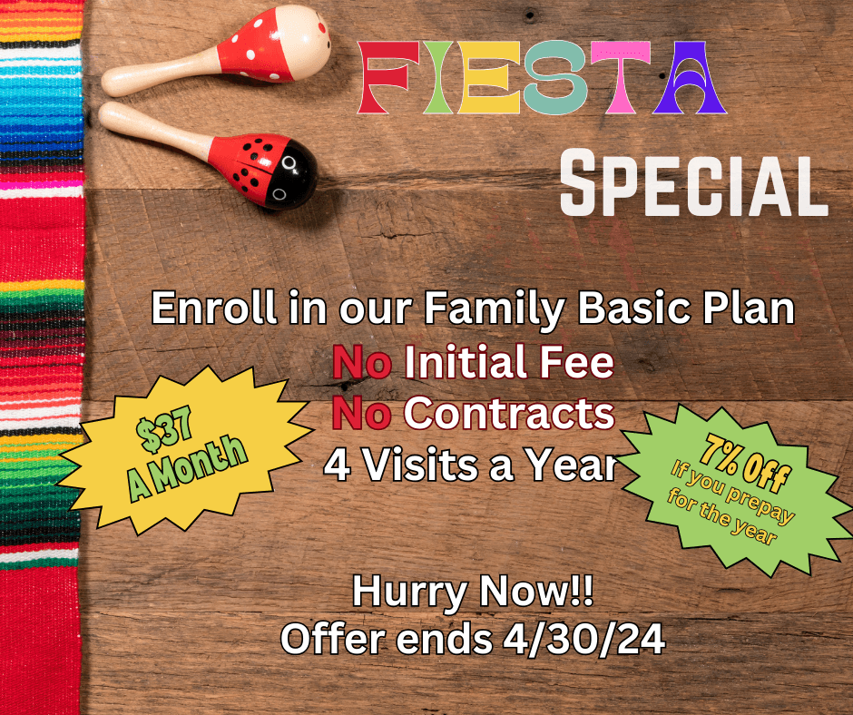 San Antonio Pest Control Experts | Family Pest Control LLC