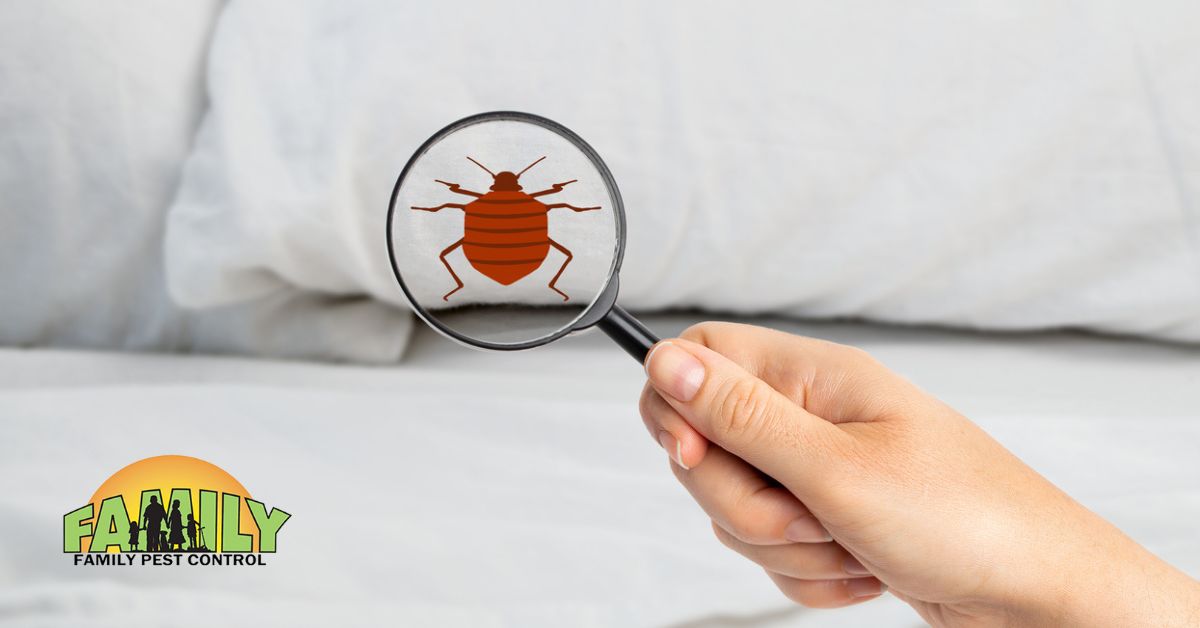 Understanding Common Household Pests: A Guide to Identifying and ...