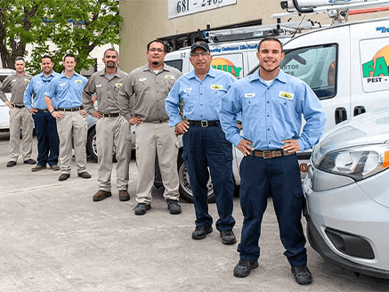 San Antonio Pest Control Experts | Family Pest Control LLC